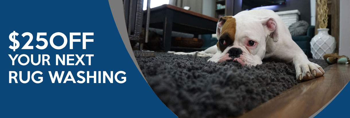Area Rug Cleaning in Dallas and Fort Worth | Dalworth Rug Cleaning